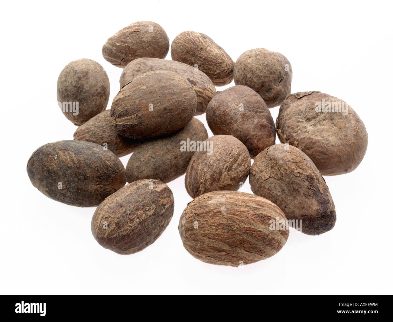 Shea nuts Cut Out Stock Images & Pictures - Alamy