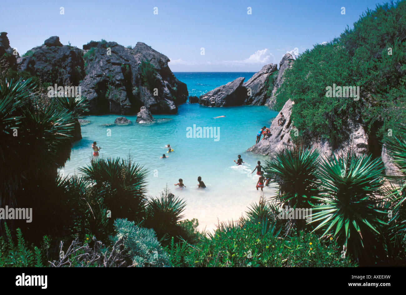 Playing in rock pool hi-res stock photography and images - Alamy