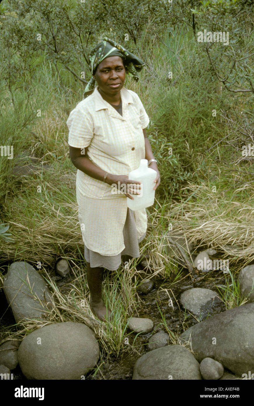Africa South Africa Woman at water hole Stock Photo - Alamy