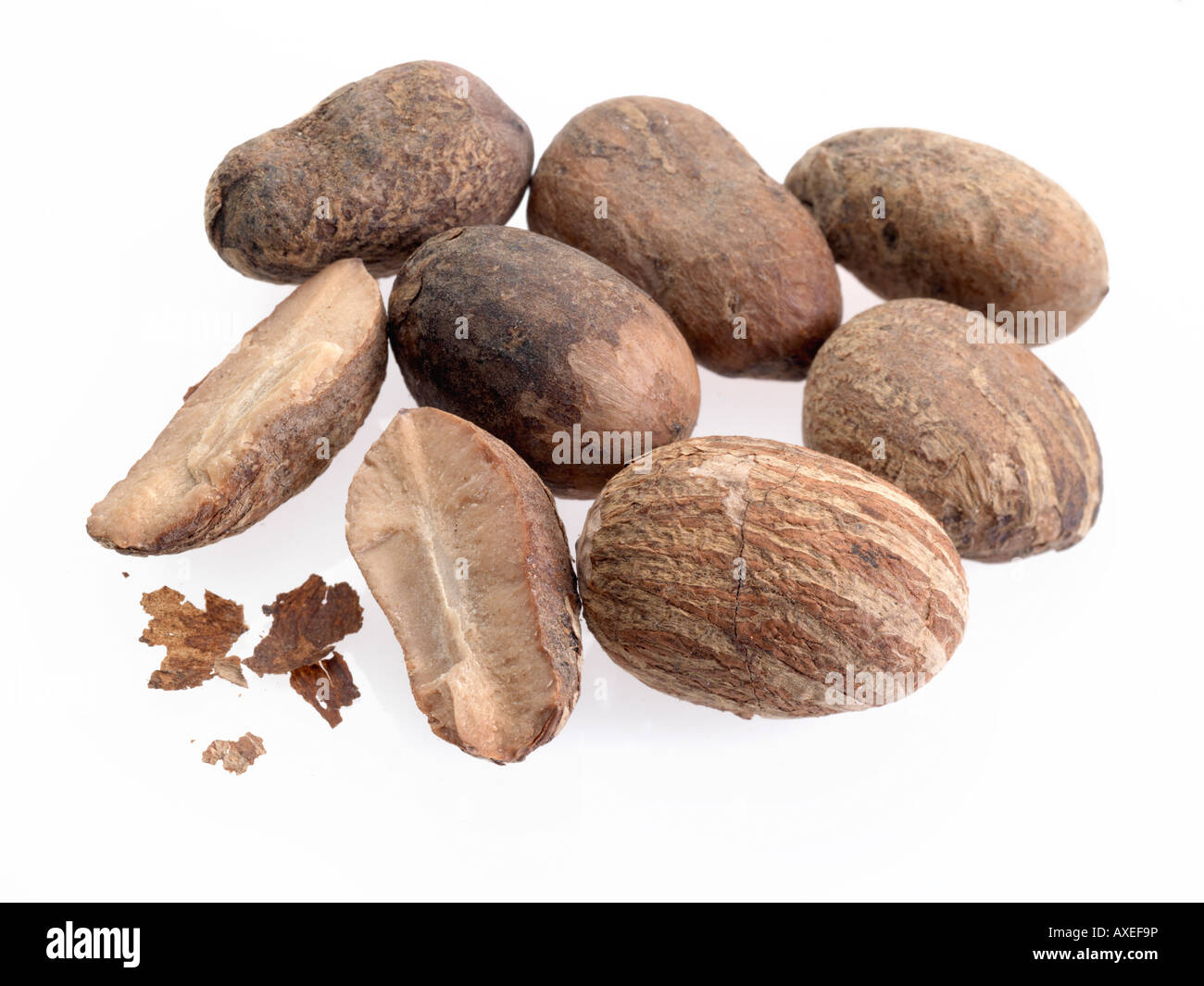 Group of Shea Nuts Stock Photo - Alamy