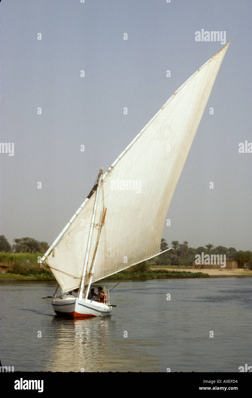 Africa Egypt Feluccas on Nile Stock Photo - Alamy