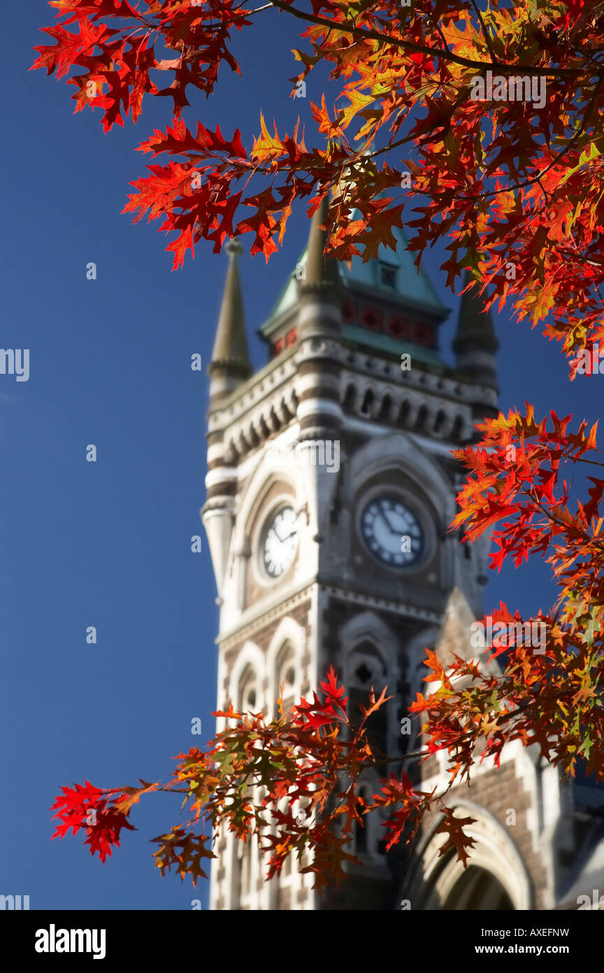 Clock Tower Registry Building University of Otago in Autumn Dunedin ...