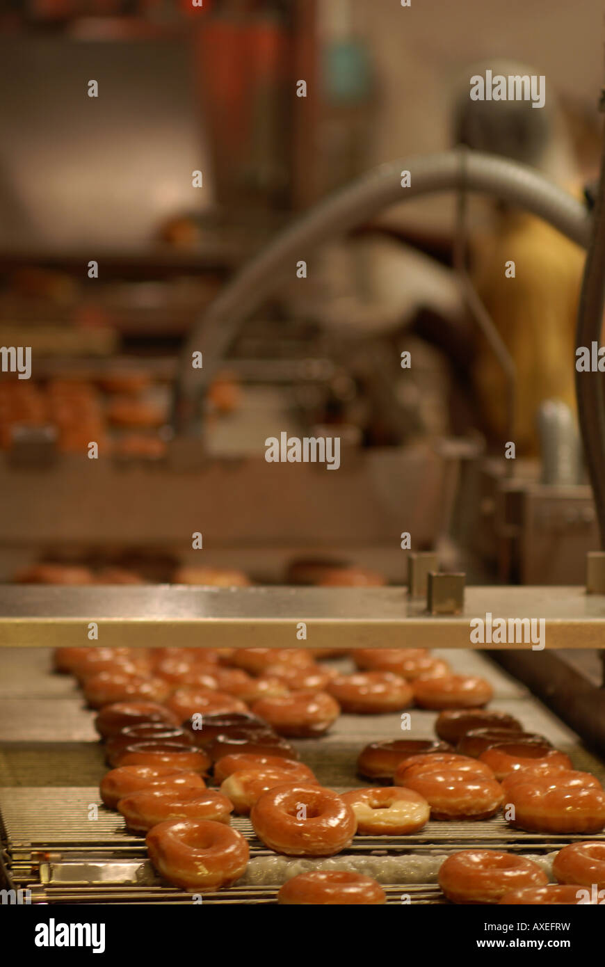 A doughnut assembly line as freshly glazed doughnuts dry Stock Photo ...
