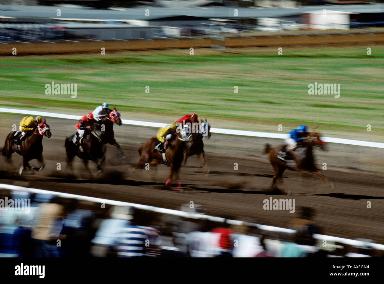 Leading horse pulls away during the final leg of the race Stock Photo ...