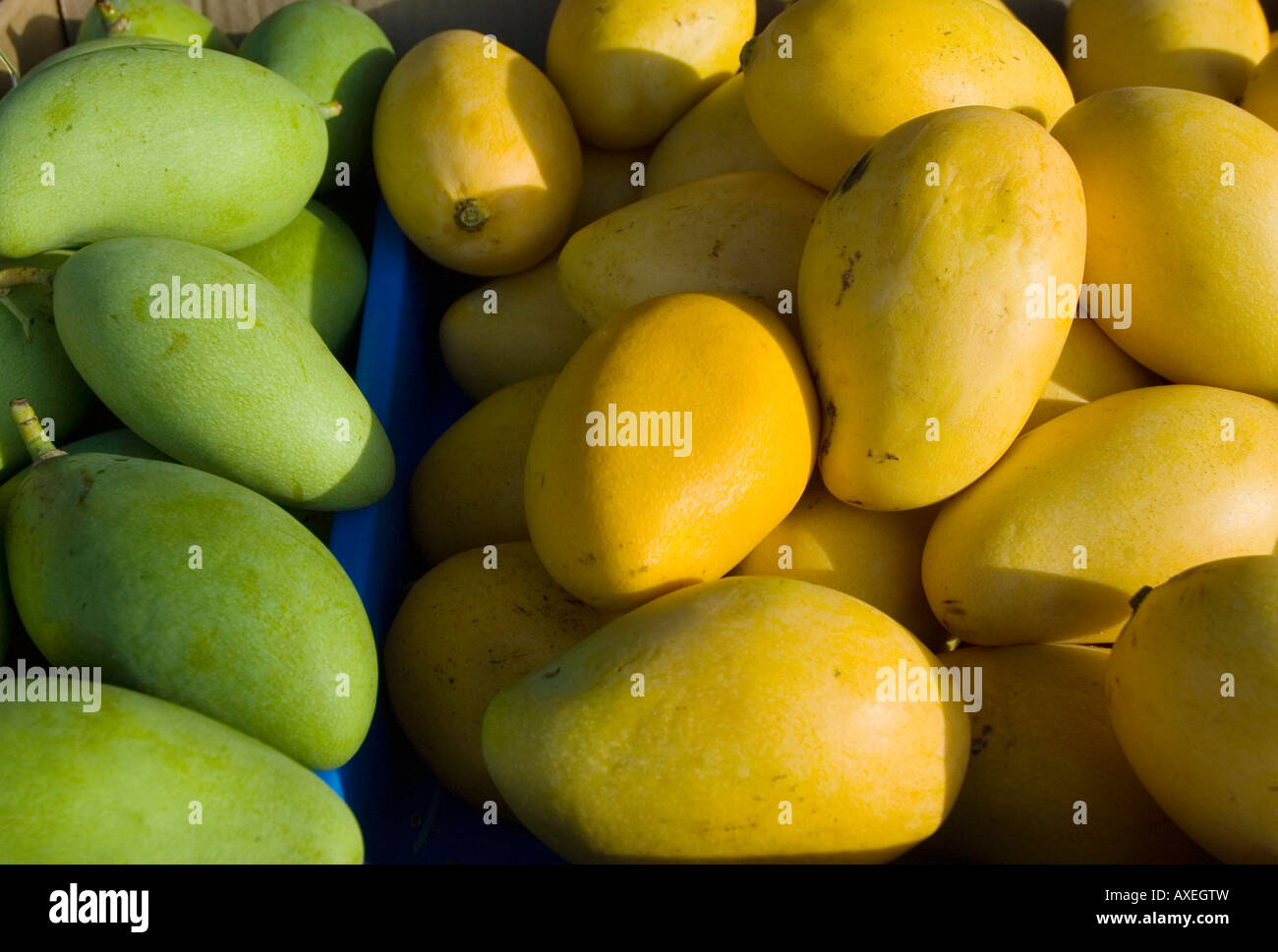 mangoes for sale Stock Photo - Alamy