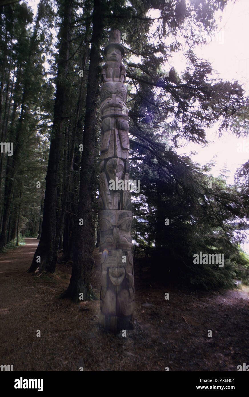 Raven shark pole hi-res stock photography and images - Alamy