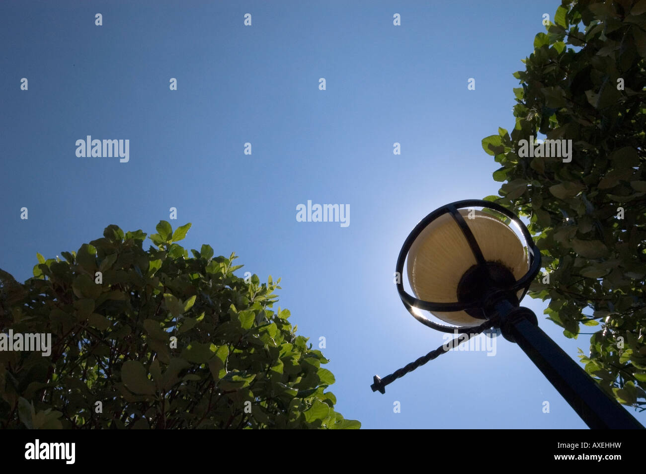 Street light against a blue sky with trees Stock Photo - Alamy