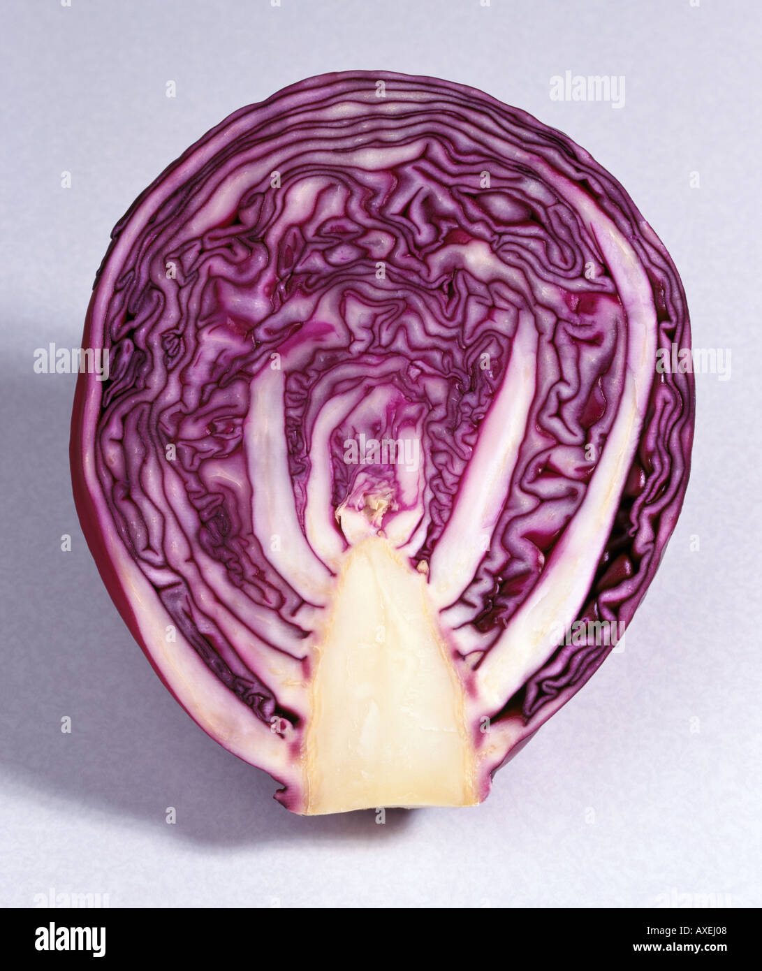 Red cross section patterns hi-res stock photography and images - Alamy