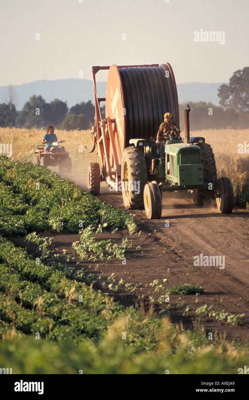 Farmers Driving A Tractor And Working In Their Field Stock Photo - Alamy