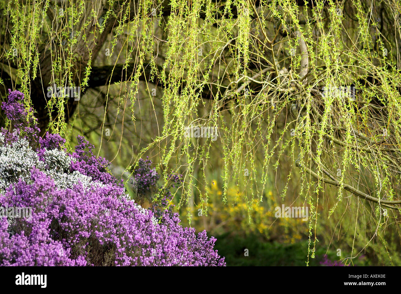 Heather moore hi-res stock photography and images - Alamy