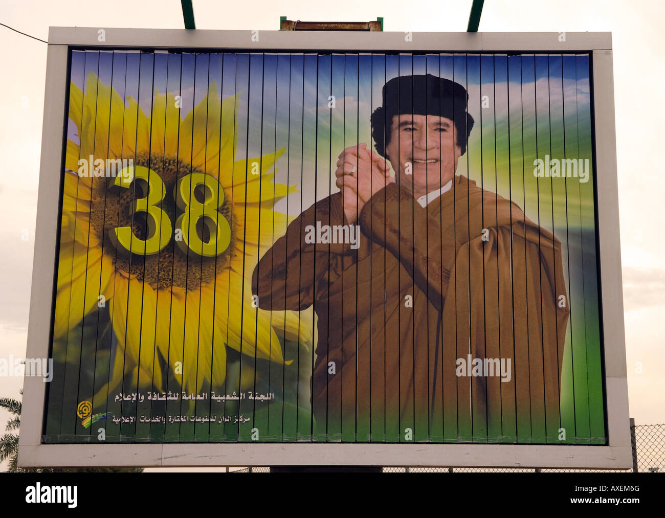 Colonel muammar gaddafi hi-res stock photography and images - Alamy