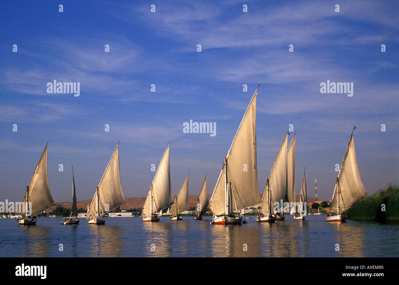 Feluccas on the River Nile, Egypt Stock Photo - Alamy
