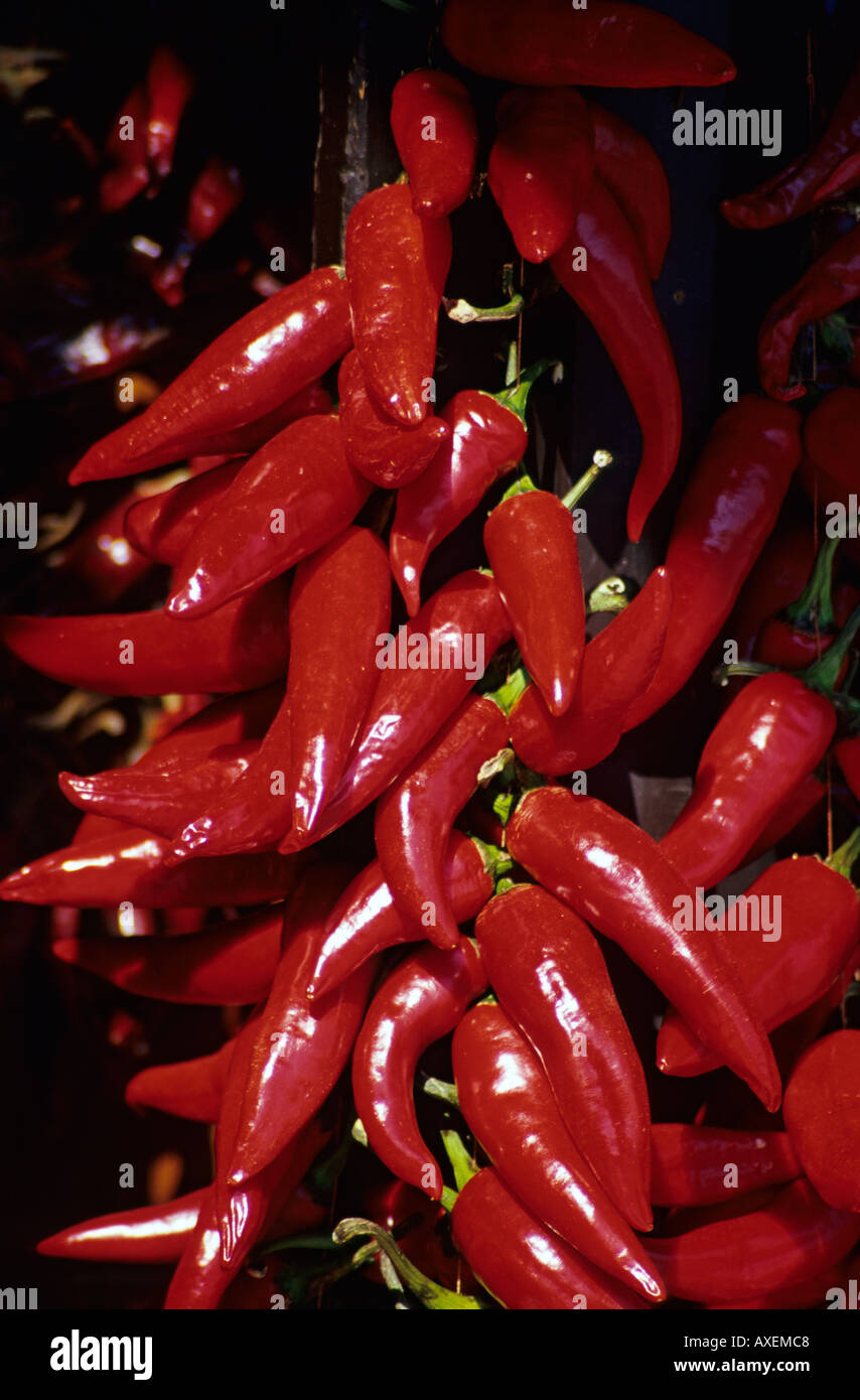 Traditional hungarian chilli peppers paprika hi-res stock photography ...