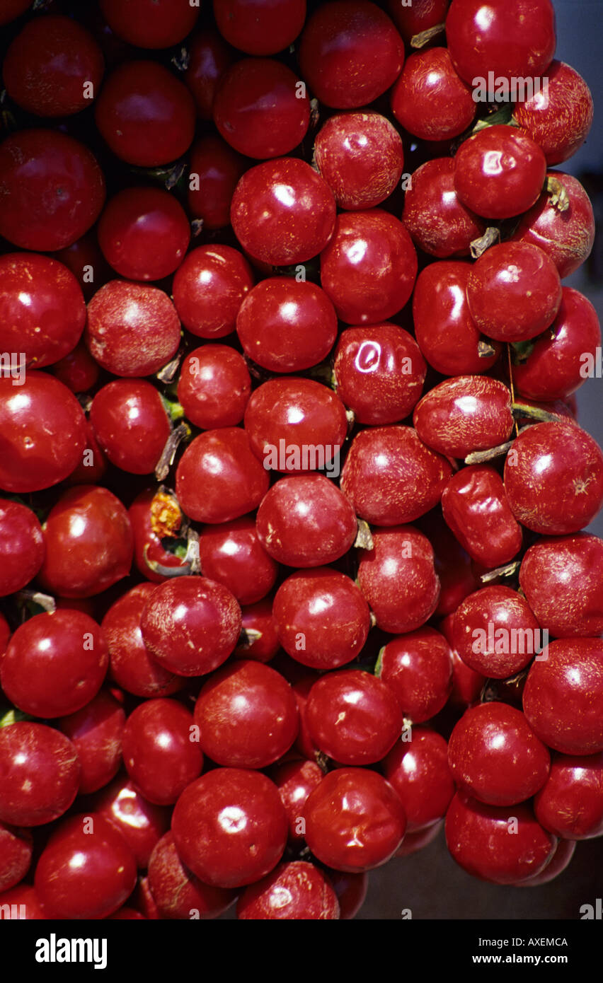 Traditional hungarian chilli peppers paprika hi-res stock photography ...