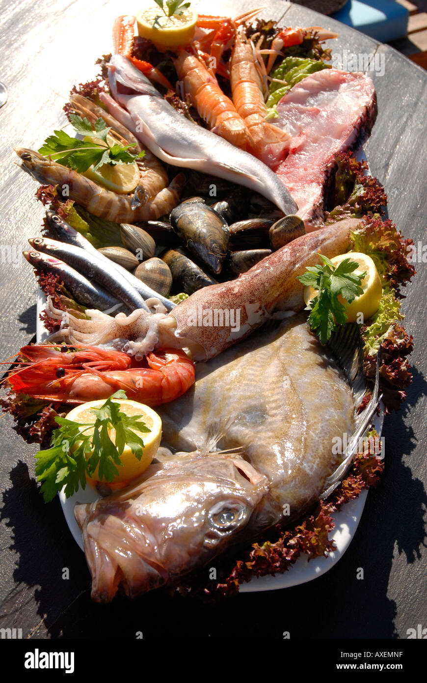 Assorted fresh fish on the table of a coastal ibizan restaurant Ibiza ...