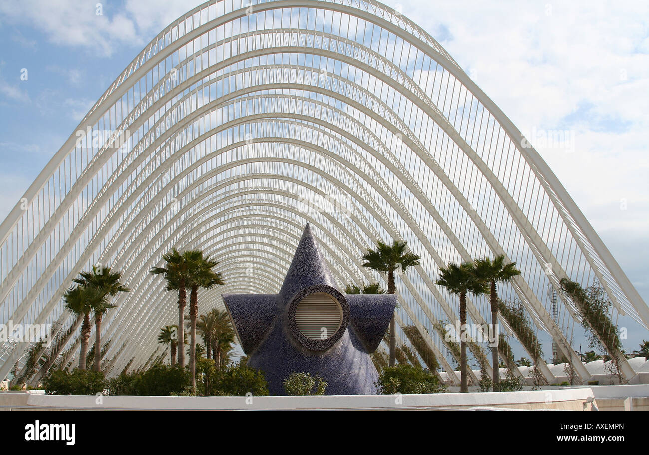 Valencia, Spain, palms Stock Photo - Alamy