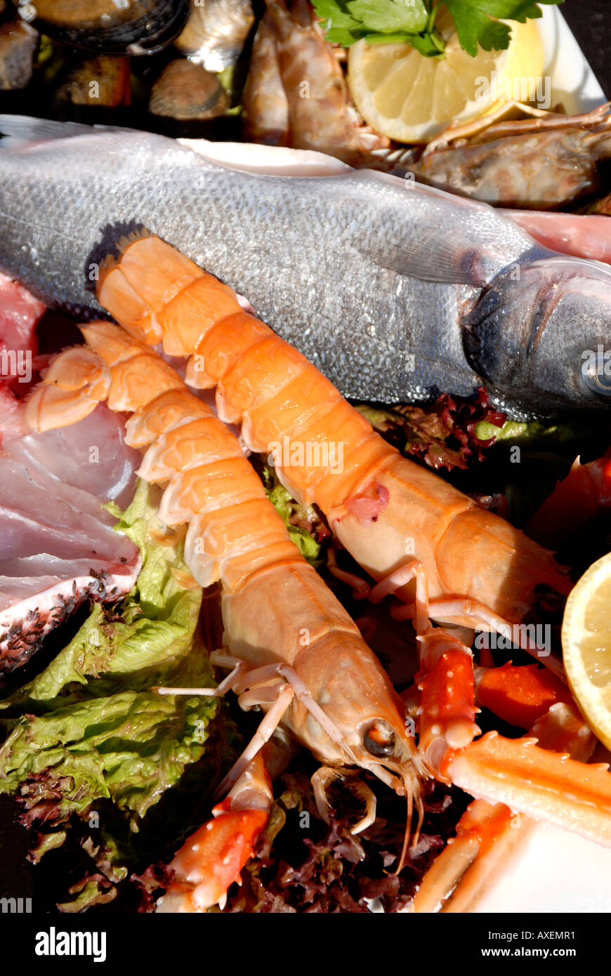 Assorted fresh fish on the table of a coastal ibizan restaurant Ibiza ...