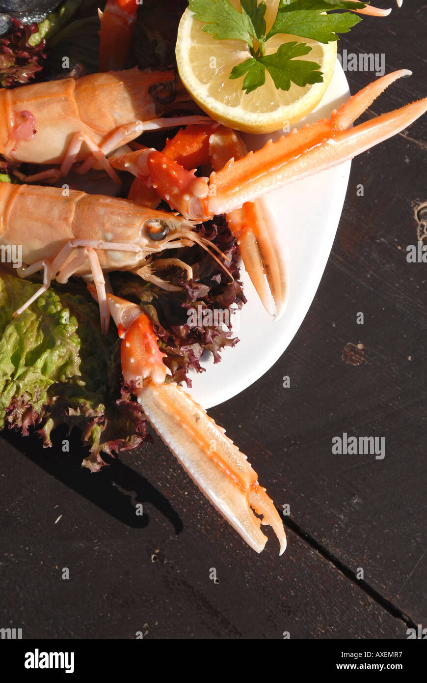 Assorted fresh fish on the table of a coastal ibizan restaurant Ibiza ...