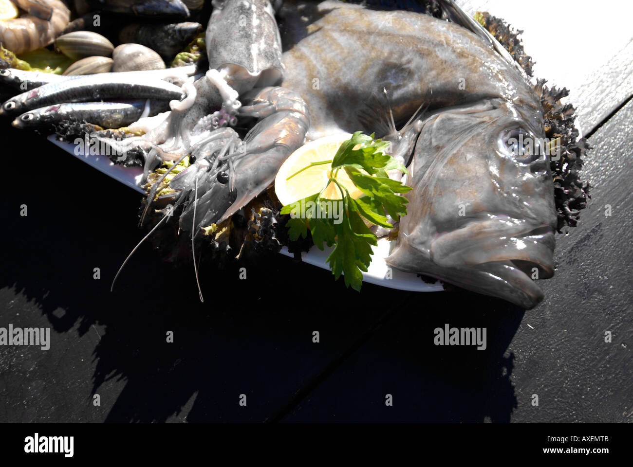 Assorted fresh fish on the table of a coastal ibizan restaurant Ibiza ...