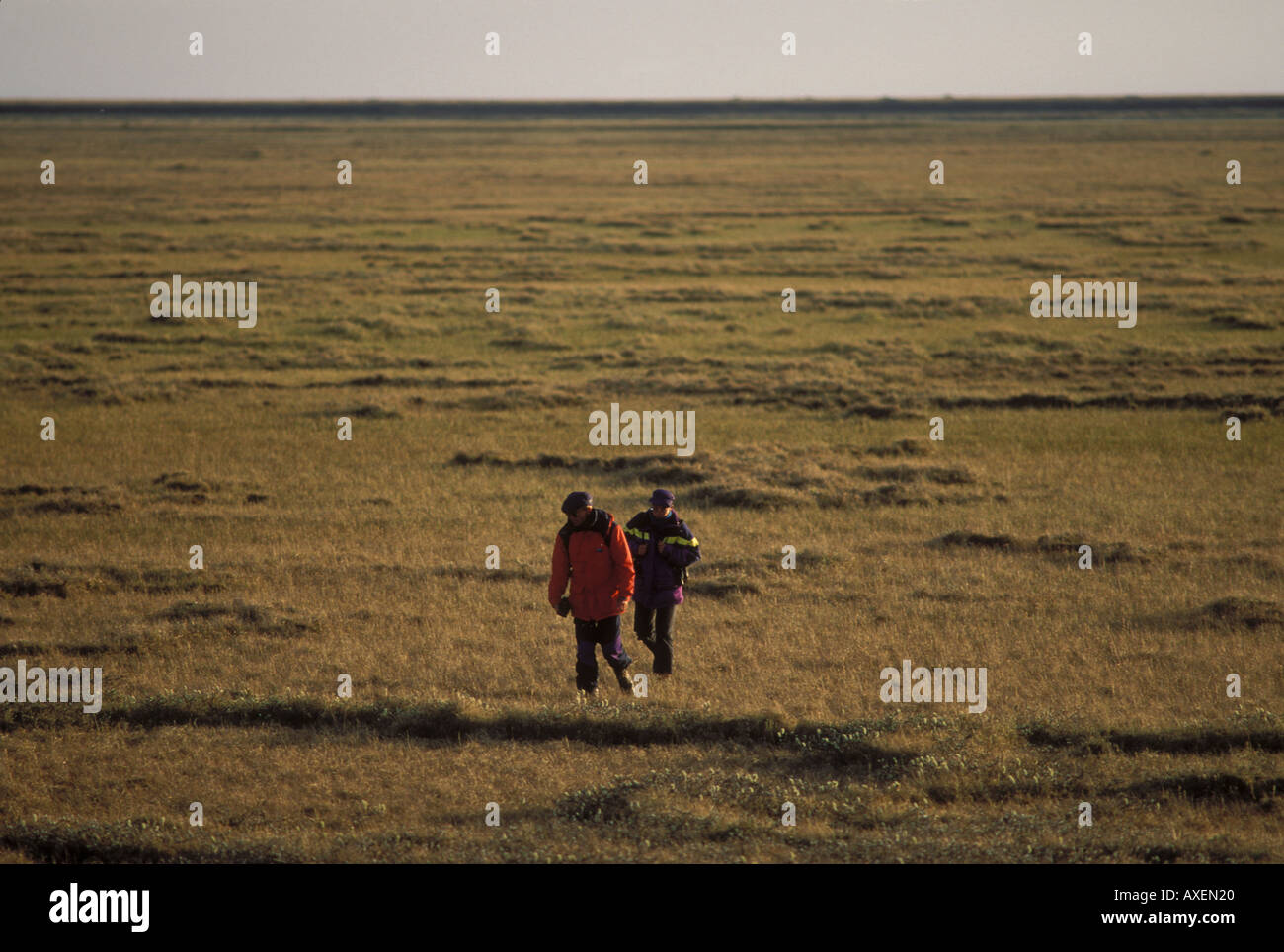 1002 area hi-res stock photography and images - Alamy