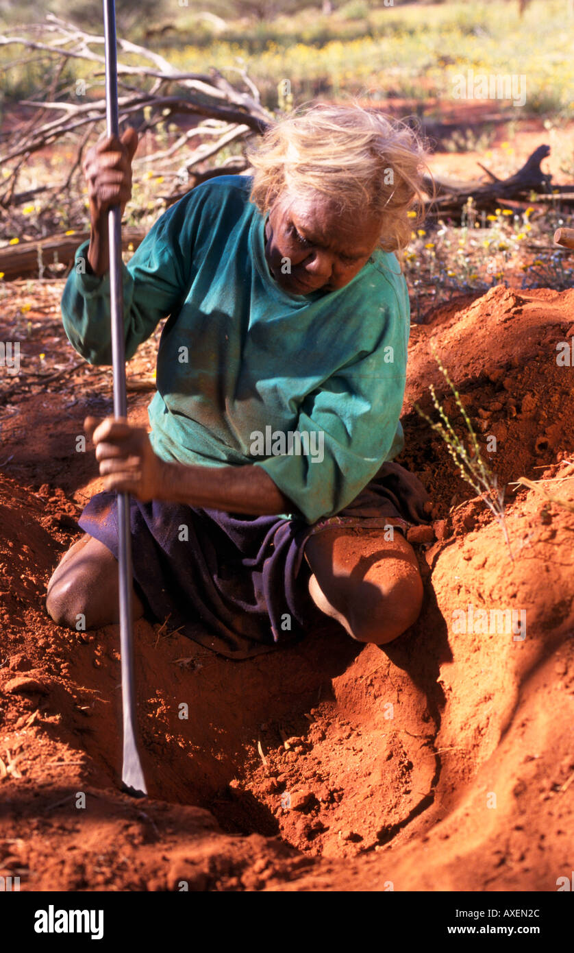 Digging for honey ants outback Australia Stock Photo - Alamy