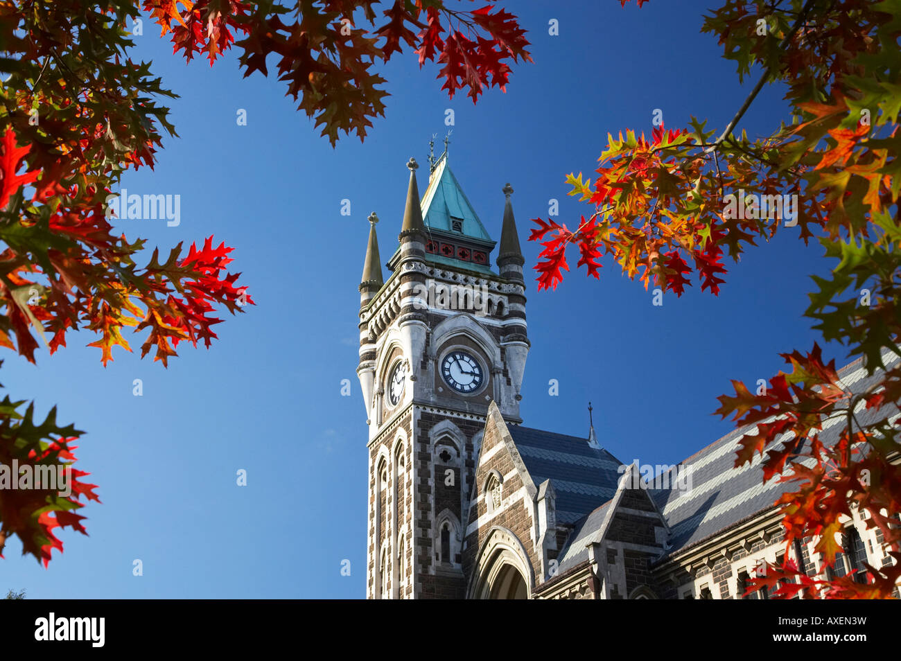 Otago university buildings hi-res stock photography and images - Alamy