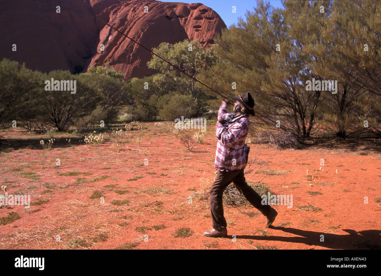 Traditional owner with hunting spears Central Australia Stock Photo - Alamy