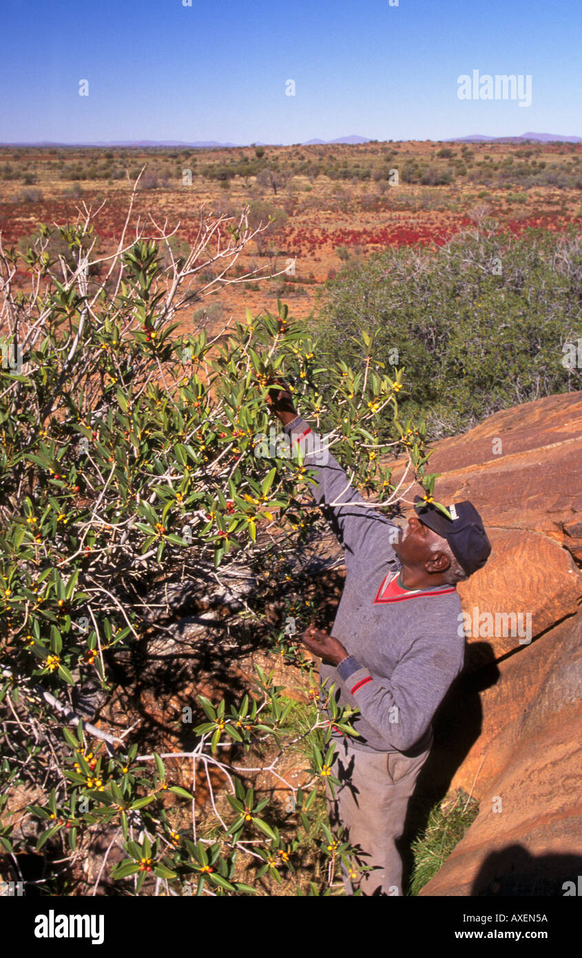 Pitjantjatjara hi-res stock photography and images - Alamy