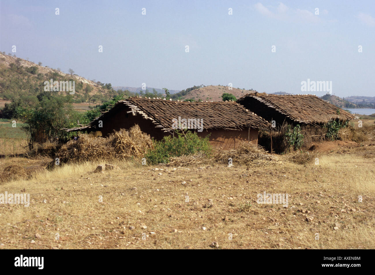 Tribes of india hi-res stock photography and images - Alamy