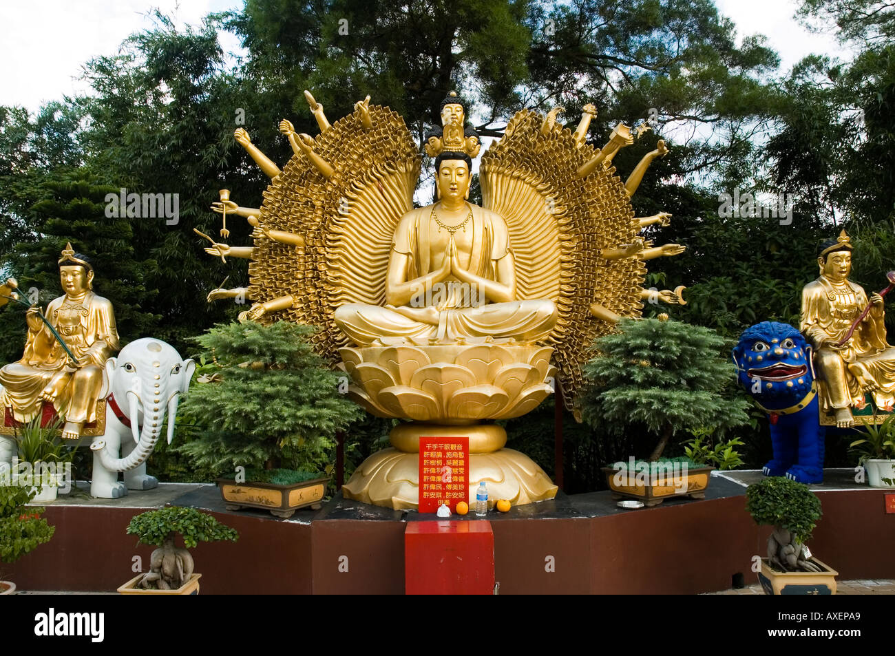 Thousand Hand Buddha Stock Photos & Thousand Hand Buddha Stock Images ...