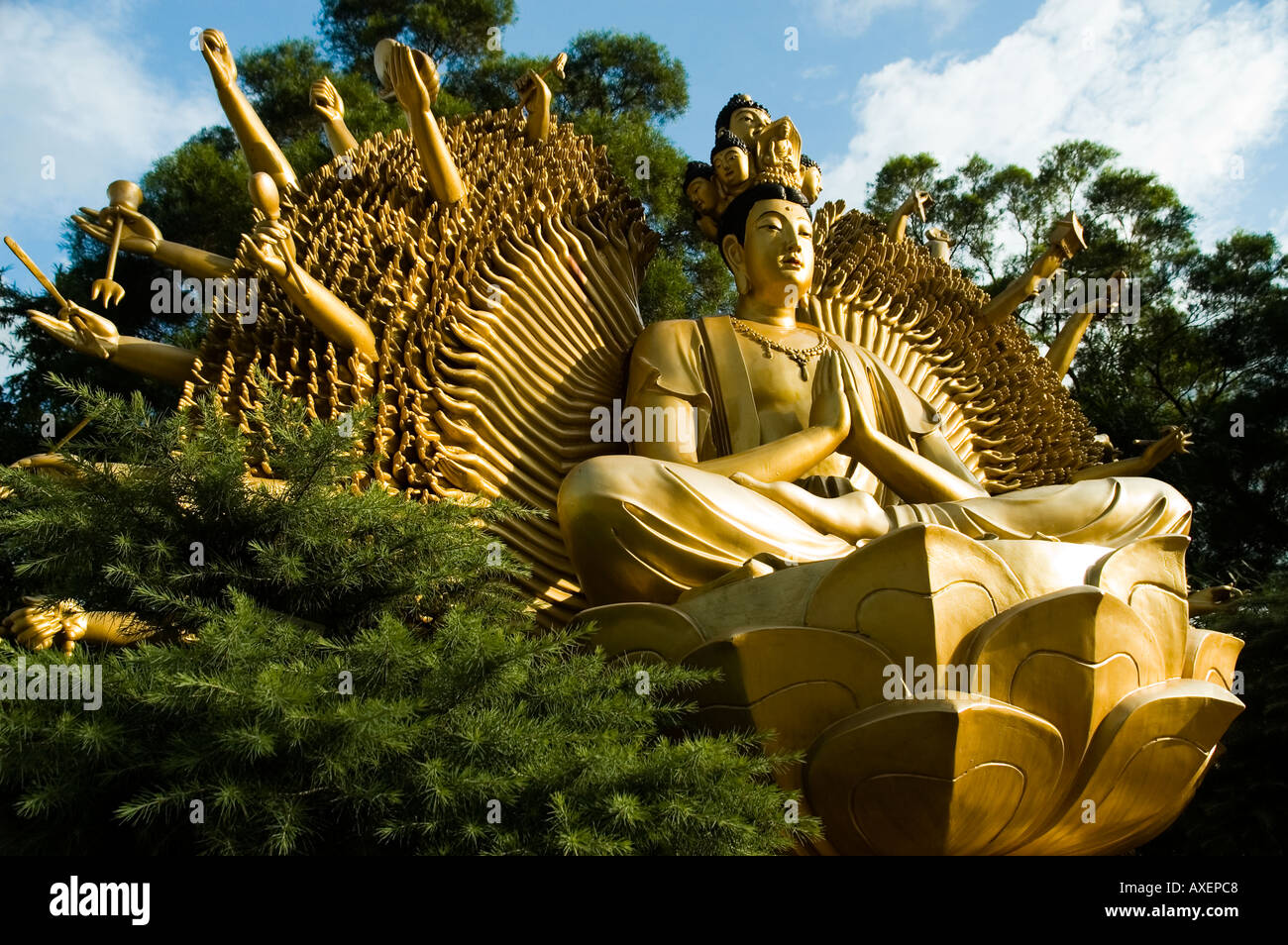A gold one thousand armed Buddhist statue at the Temple of 10000 ...