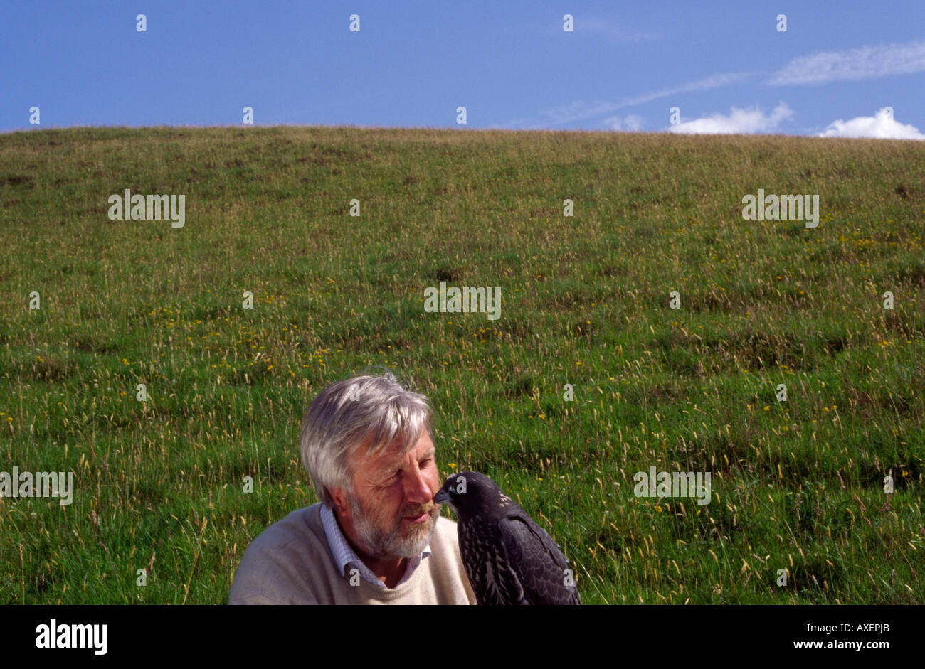 Dr Nicholas Fox Director and founder of Hunting Falcons International ...