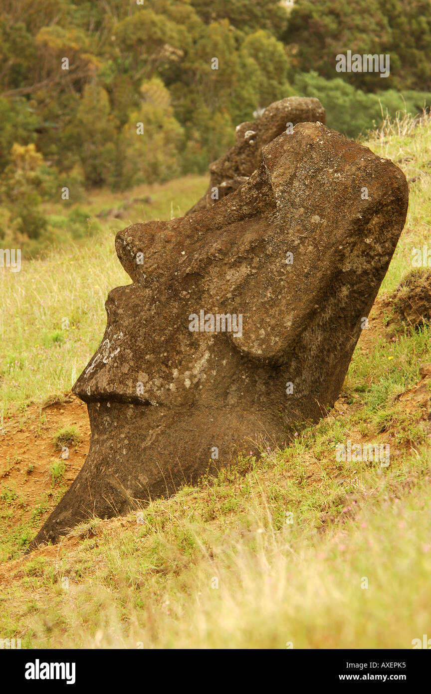 Chile Easter Island Rano Raraku quarry leaning moai statue Stock Photo ...