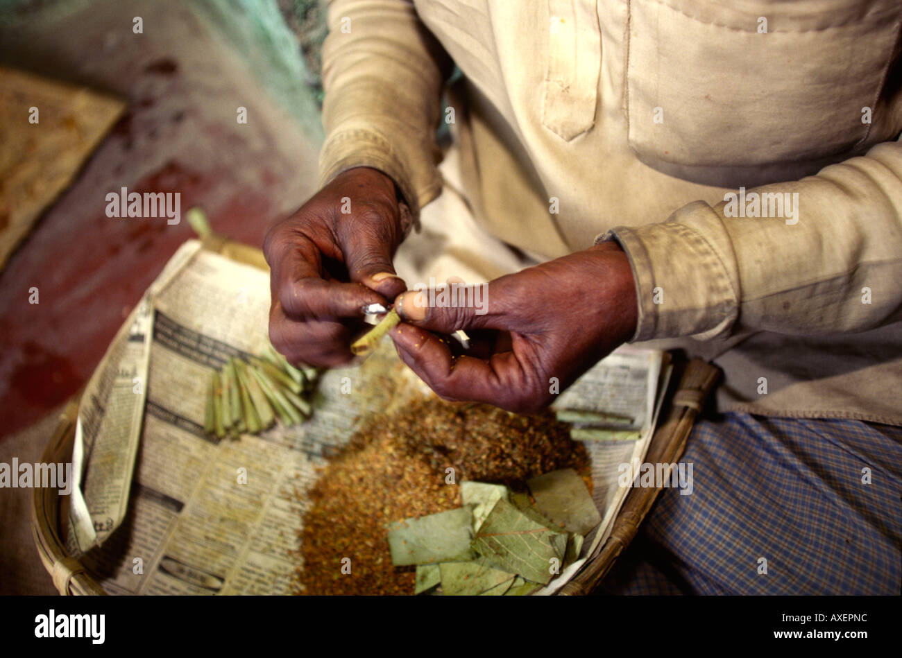 Bidi leaf hi-res stock photography and images - Alamy