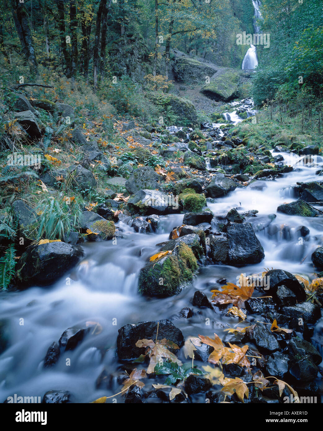 Water cascading down rocks hi-res stock photography and images - Alamy