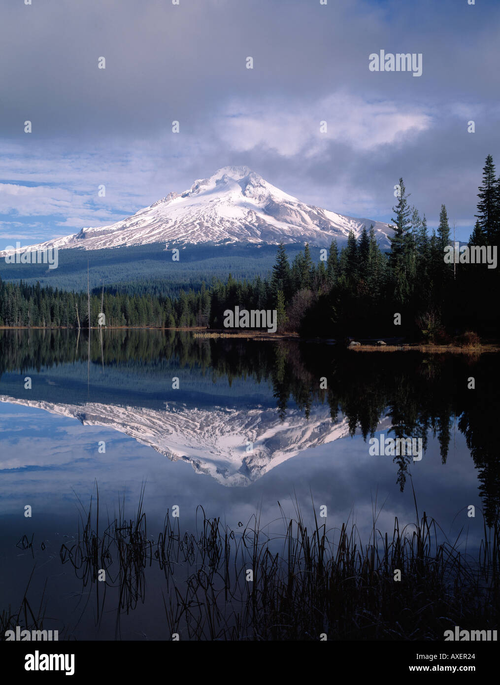Mount Hood Reflected in Trillium Lake Stock Photo - Alamy Mount Hood Reflected in Trillium Lake Stock Photo - Alamy