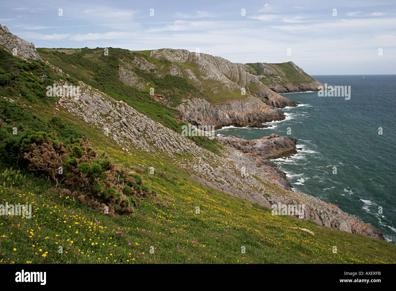 PENNARD CLIFFS, GOWER PENINSULA, WEST GLAMORGAN, SOUTH WALES, U.K Stock ...