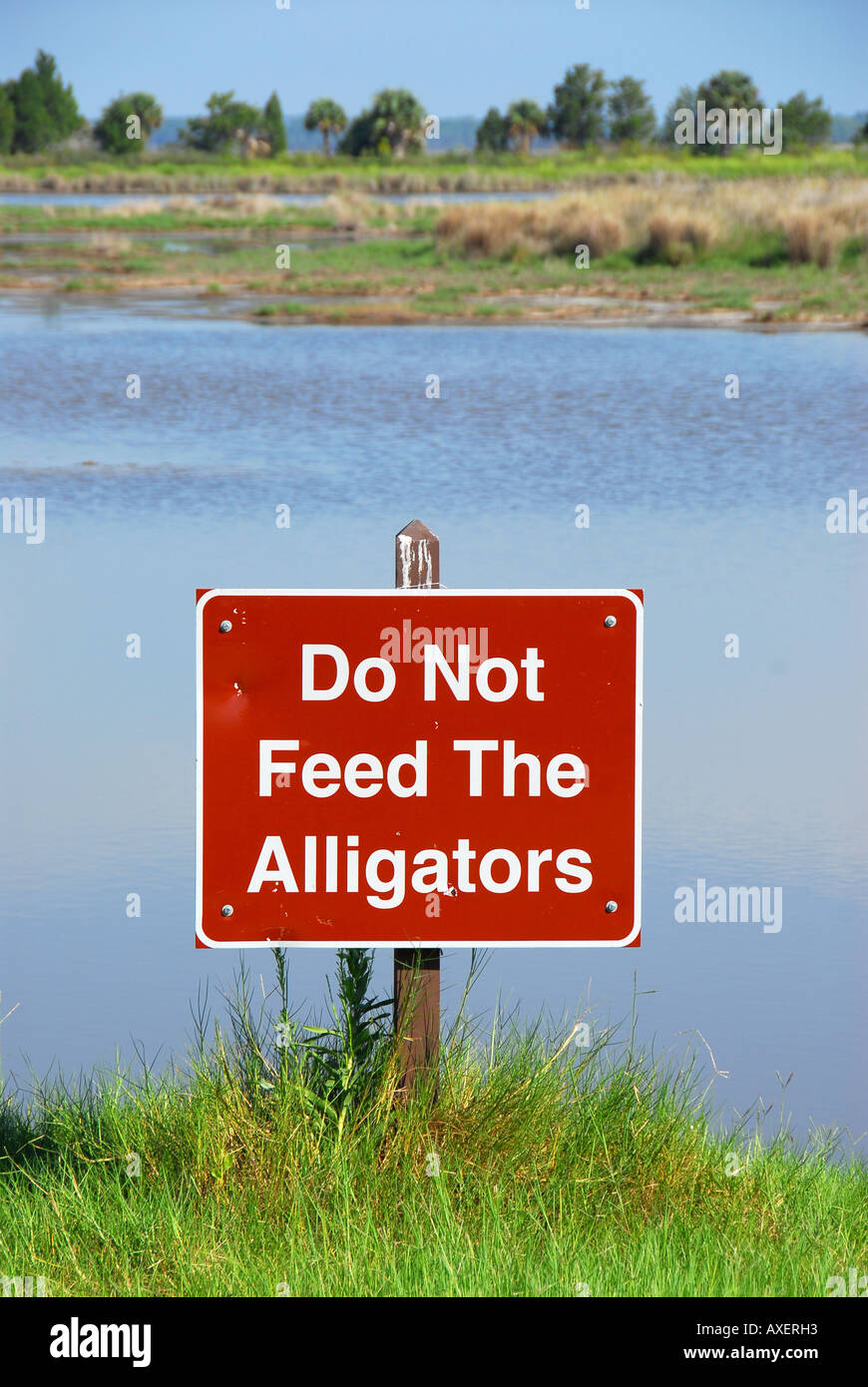 Florida sign do not feed the alligators Stock Photo - Alamy