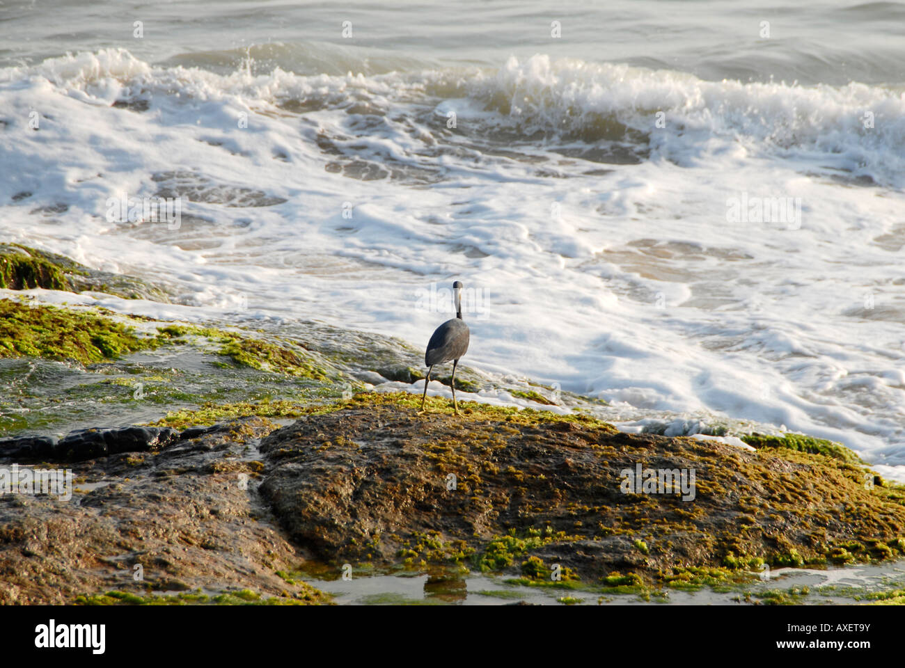 Fishcatch hi-res stock photography and images - Alamy