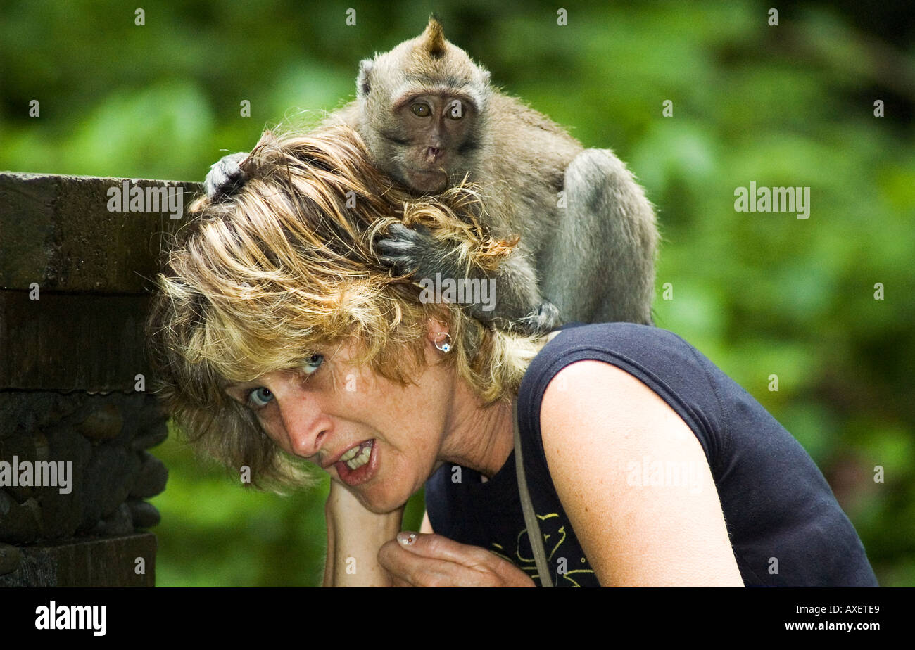 A woman is scared by a monkey at the Sacred Monkey Forest Sanctuary in ...