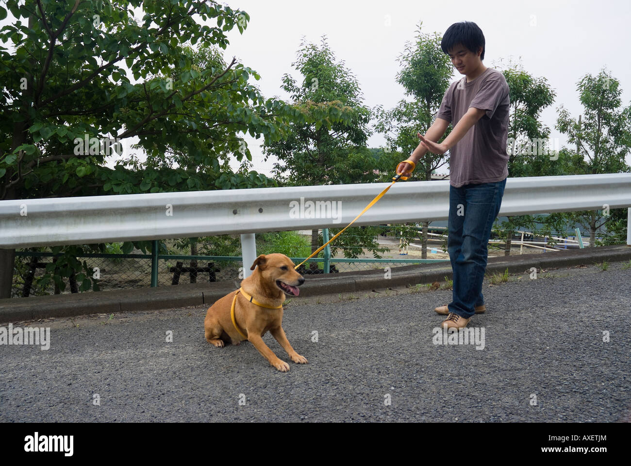 Young man training dog Stock Photo - Alamy