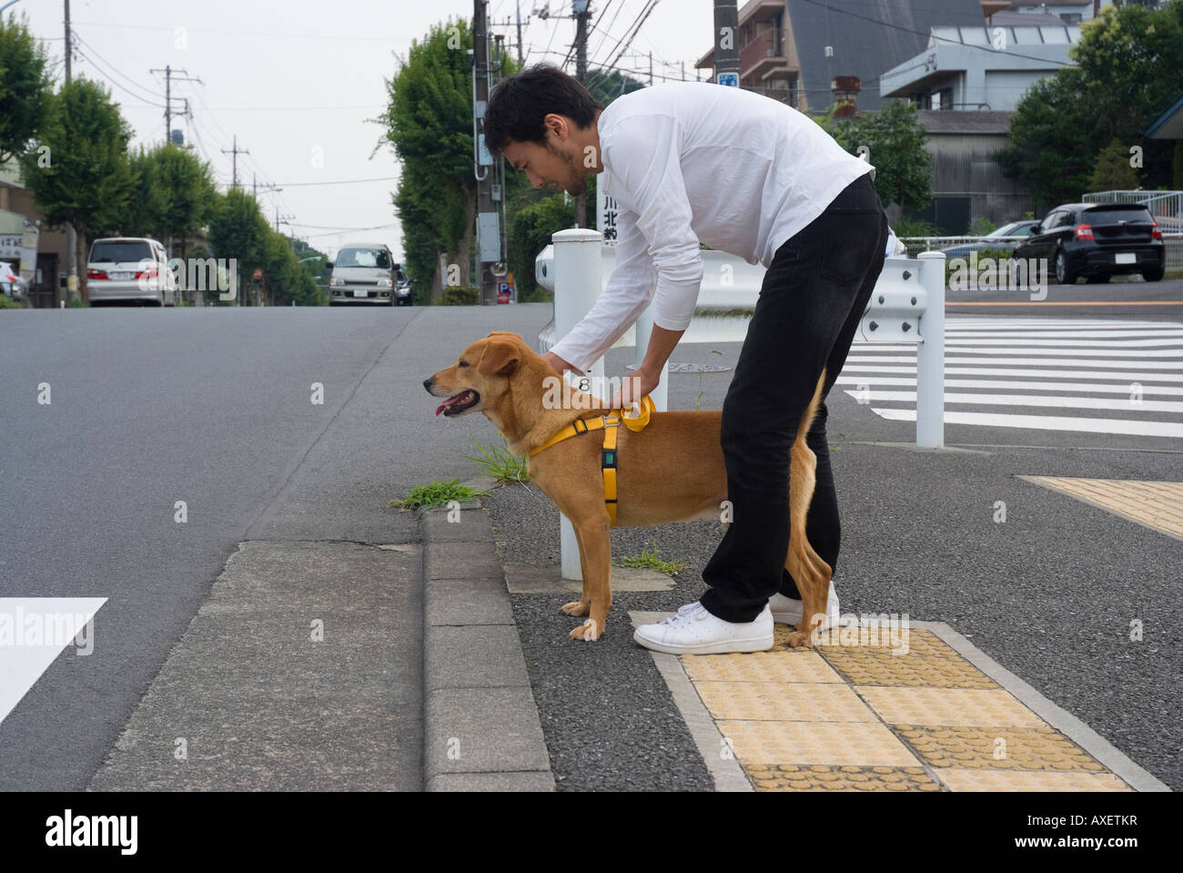 Young man training dog Stock Photo - Alamy