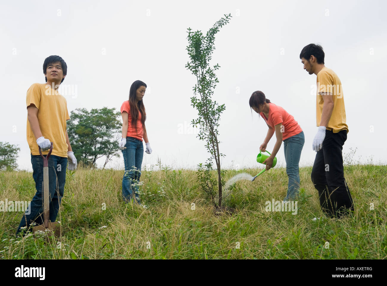 Young people planting tree Stock Photo - Alamy