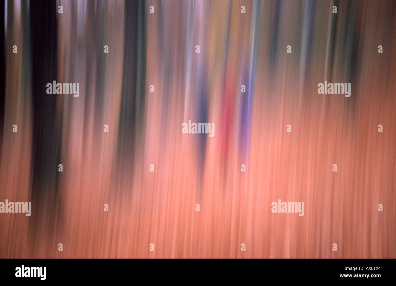 Impression of Tree Trunks and People in Autumn Woods, Windsor Great ...