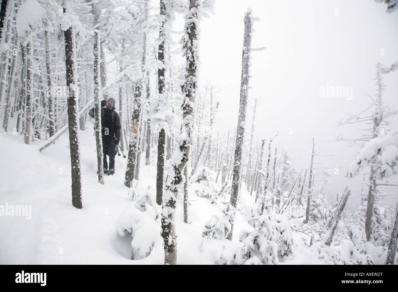 Willey range trail hi-res stock photography and images - Alamy