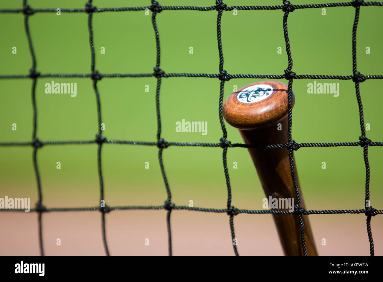 Baseball net hi-res stock photography and images - Alamy