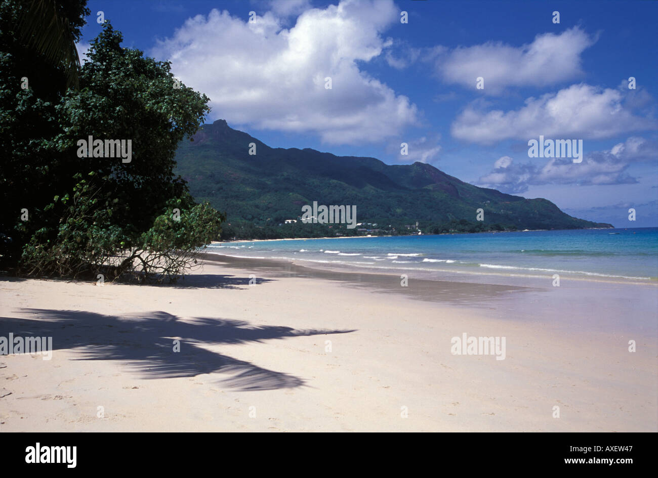 Beau Vallon white sand beach with palm trees, Seychelles, Indian Ocean ...