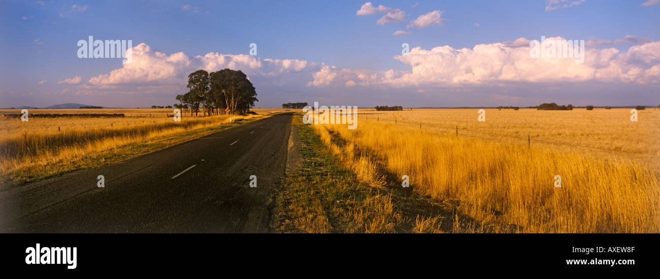 Goldfields highway hi-res stock photography and images - Alamy