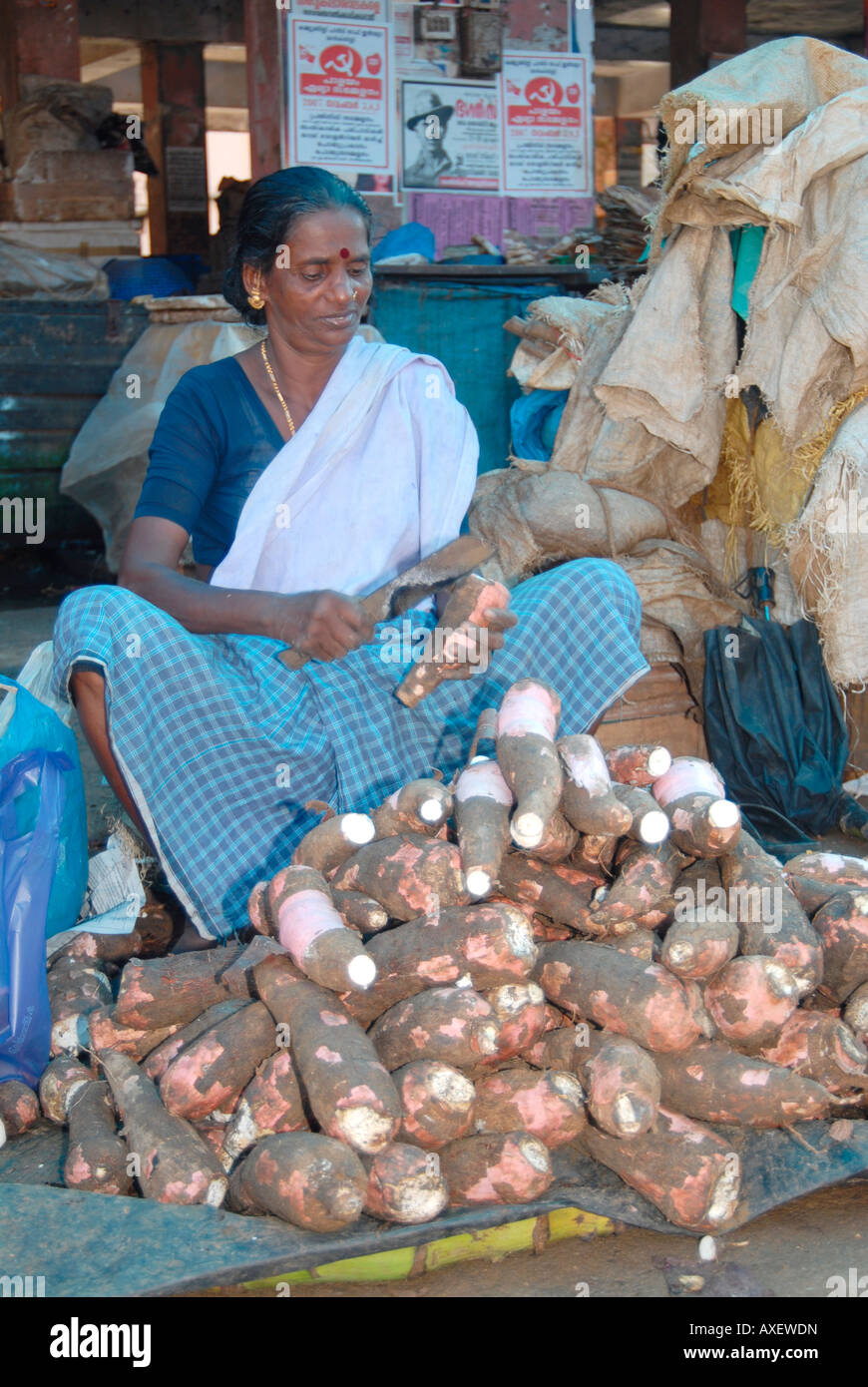 A woman selling tapioca in Trivandrum market Stock Photo - Alamy