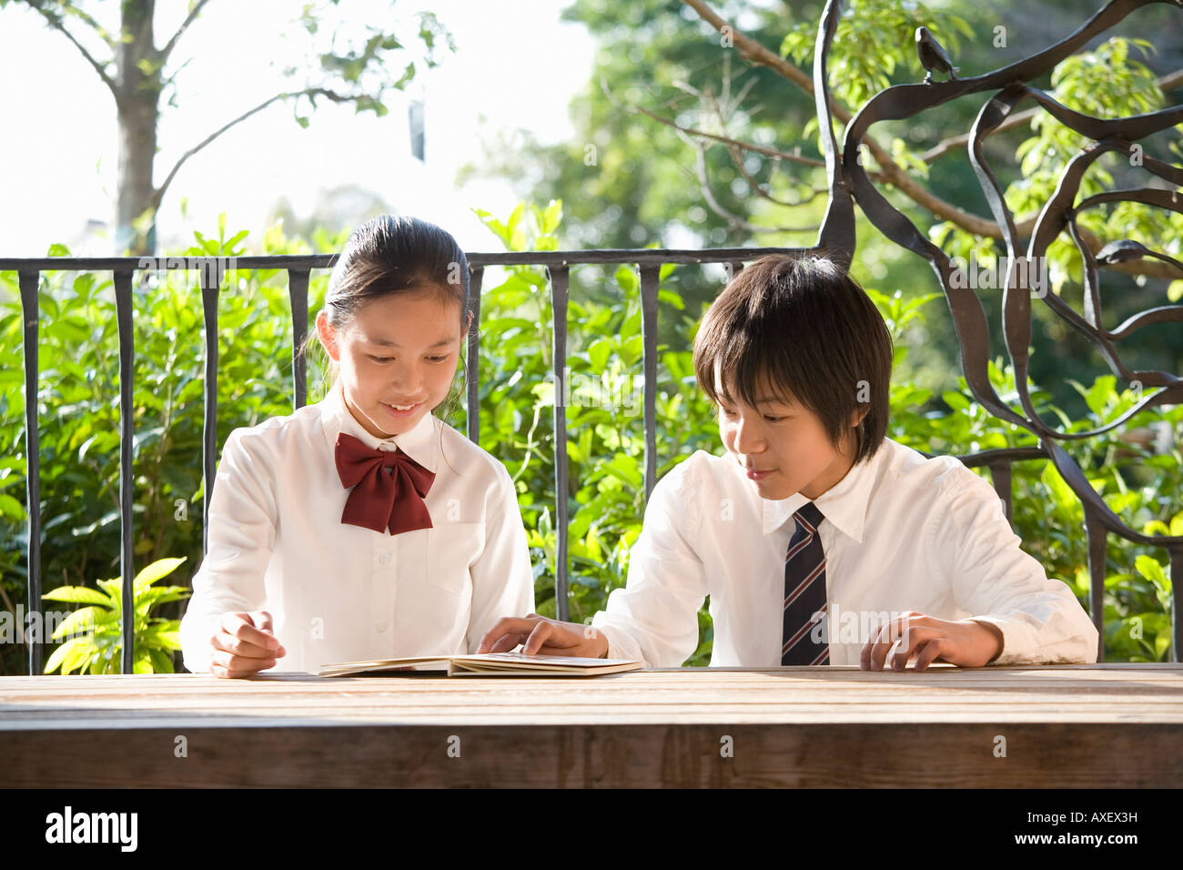 School children studying Stock Photo - Alamy
